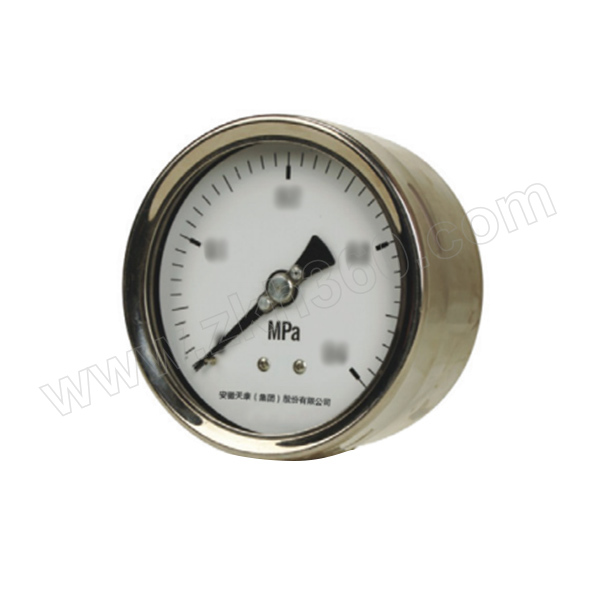 安徽天康 不锈钢压力表(304+304) YB-100Z/0~1.6MPa/M20×1.5/1.6级/轴向不带边 表盘直径100mm 弹簧管压力表 机械压力表 指针式压力表 精密压力表 波登管 ...