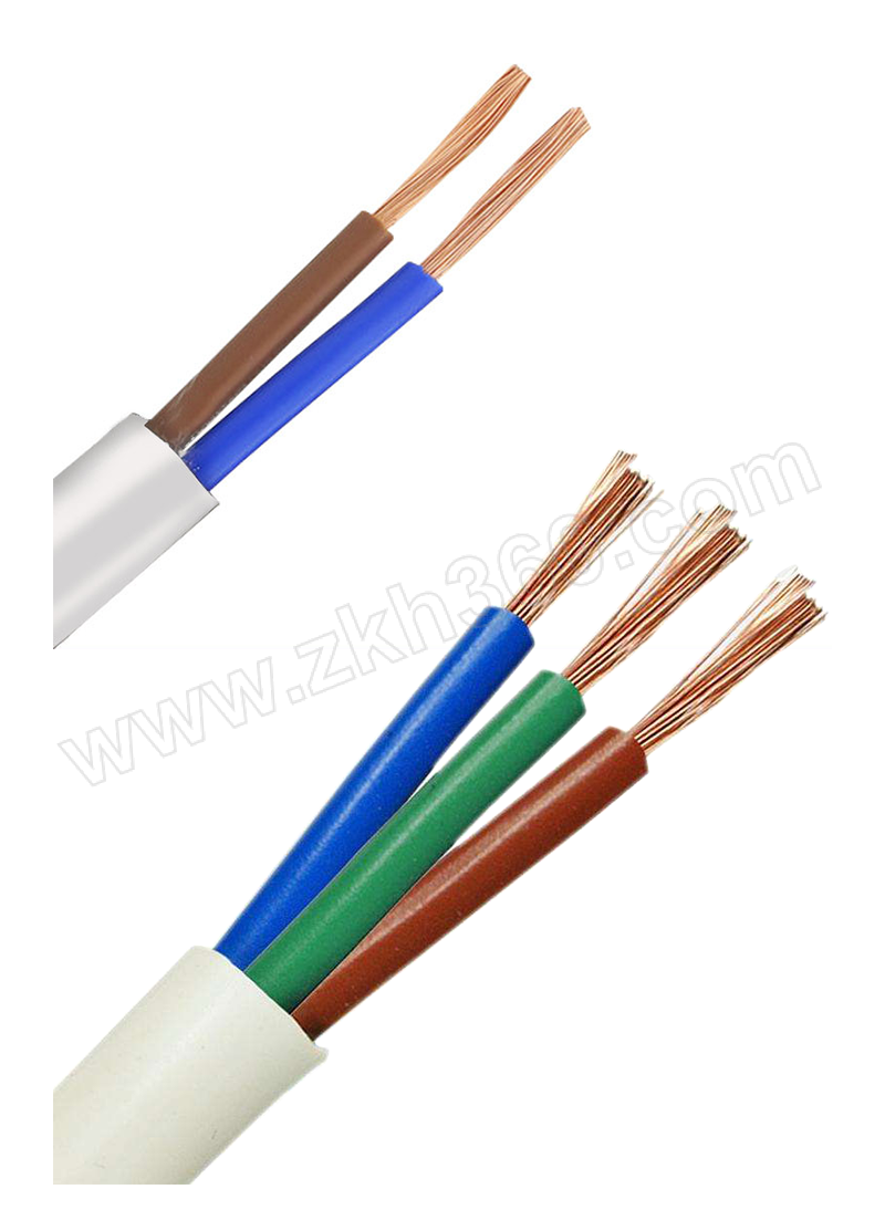 天环 铜芯阻燃聚氯乙烯绝缘聚氯乙烯护套软电线 ZR-RVV-300/500V-2×2.5 护套白色 100m RVV电缆 软护套线 电源线 多芯电缆 RVV护套线 铜芯阻燃聚氯乙烯绝缘聚氯乙烯 ...